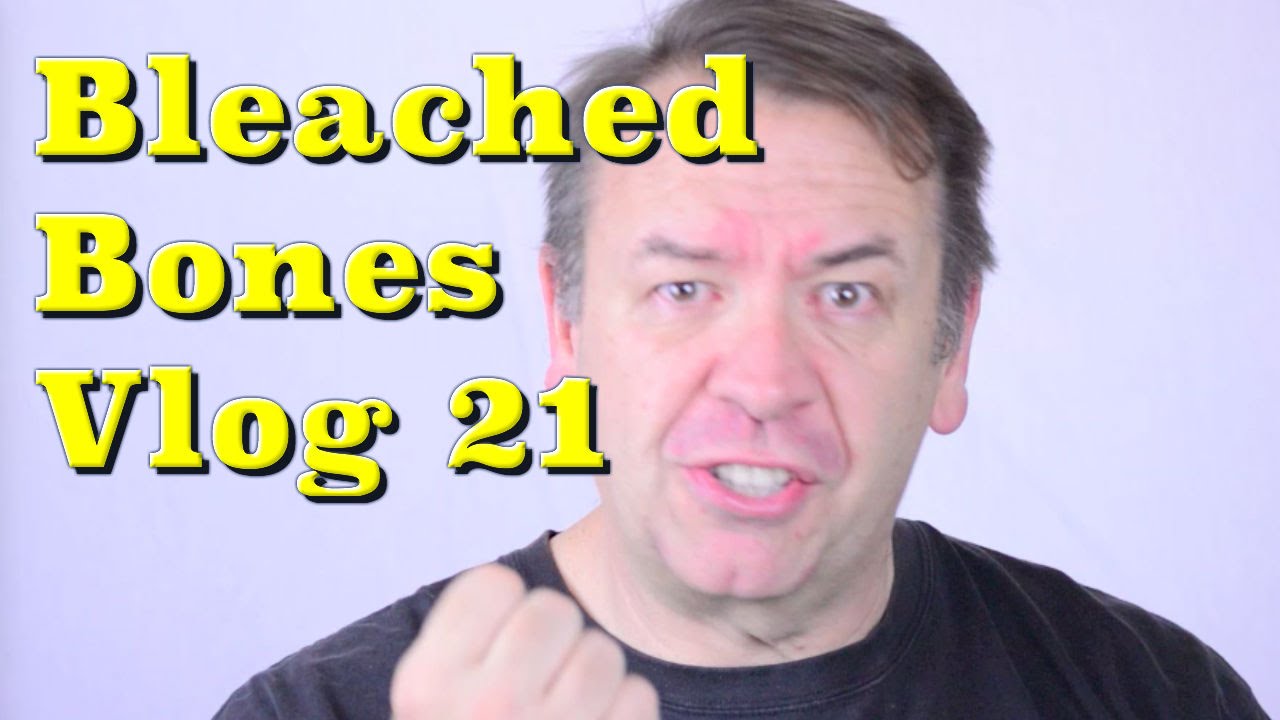 Bleached Bones Vlog 21 - Sparring Partner - YouTube