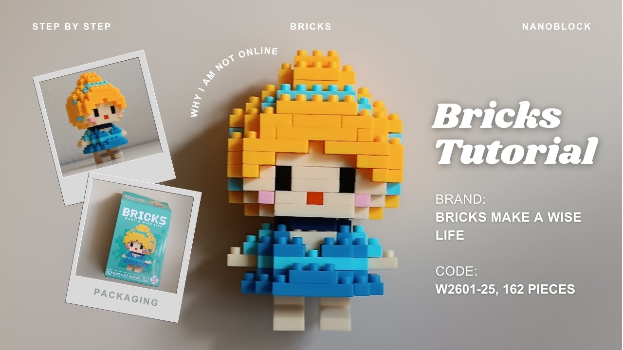 How to Build Princess Cinderella Building Blocks | Bricks Make a Wise ...