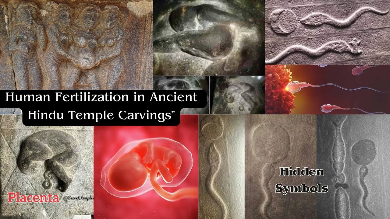 Fertility and Creation: Human Reproduction Carved in Hindu Temples ...