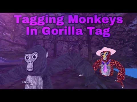 Tagging Monkeys in Gorilla Tag (My First Long Form Video) - YouTube
