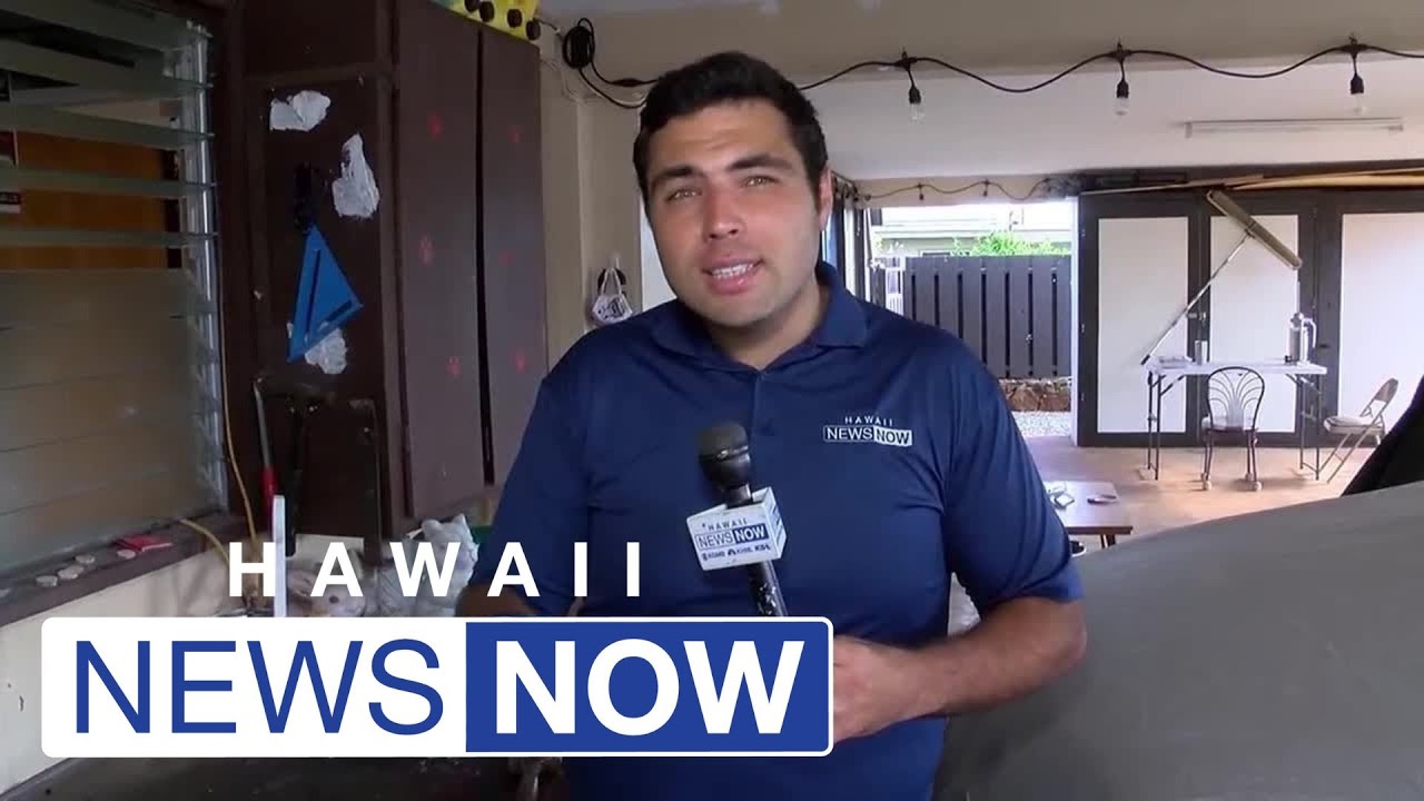 Dozens of CRB larvae discovered in garden soil sold at Oahu store - YouTube