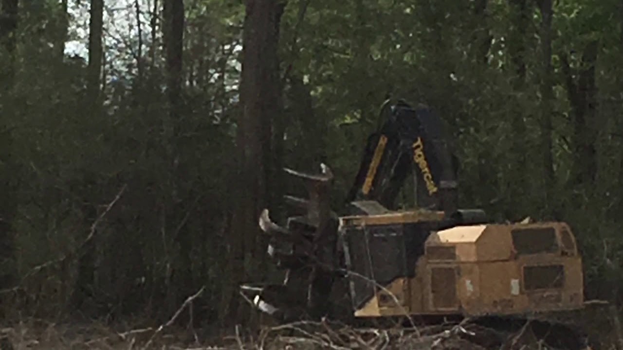 Swamp Logging in Alabama - YouTube