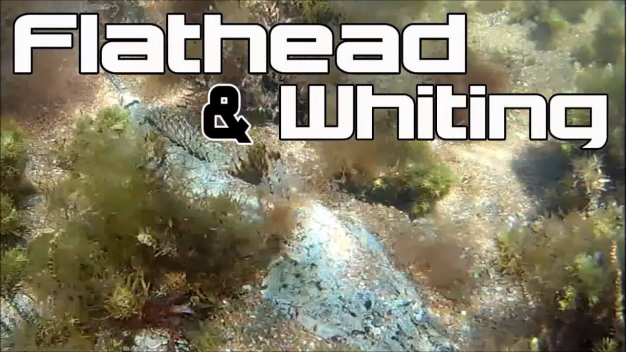 Flathead and Whiting at Point Riley SA - YouTube