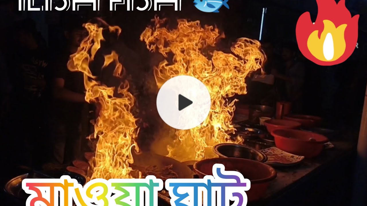 Hilsha project | Ilish fish | Mawa ghat | FISH - YouTube