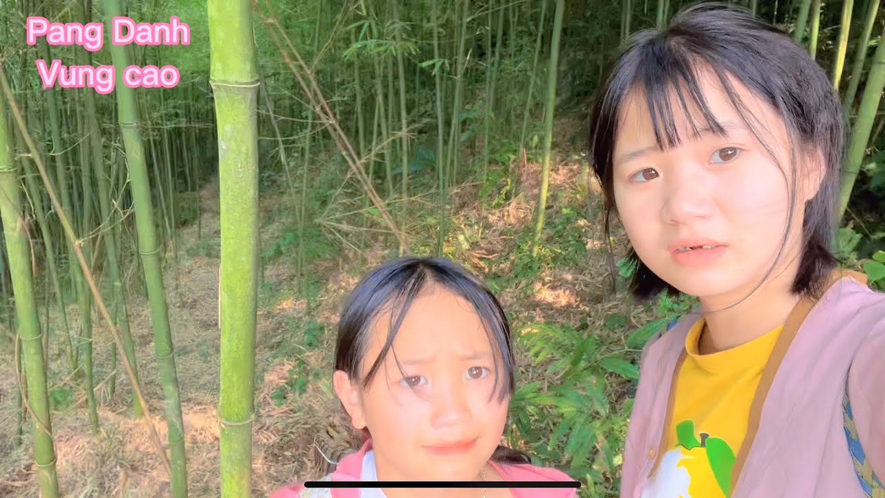 Các cô gái Hmoob Pang danh với em đi lấy mang đây to qua.19/2/2023 ...