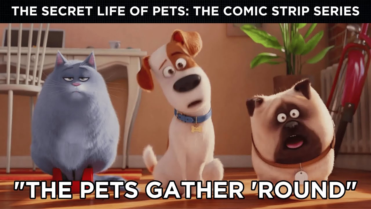 The Secret Life of Pets: The Comic Strip Series - The Pets Gather ...