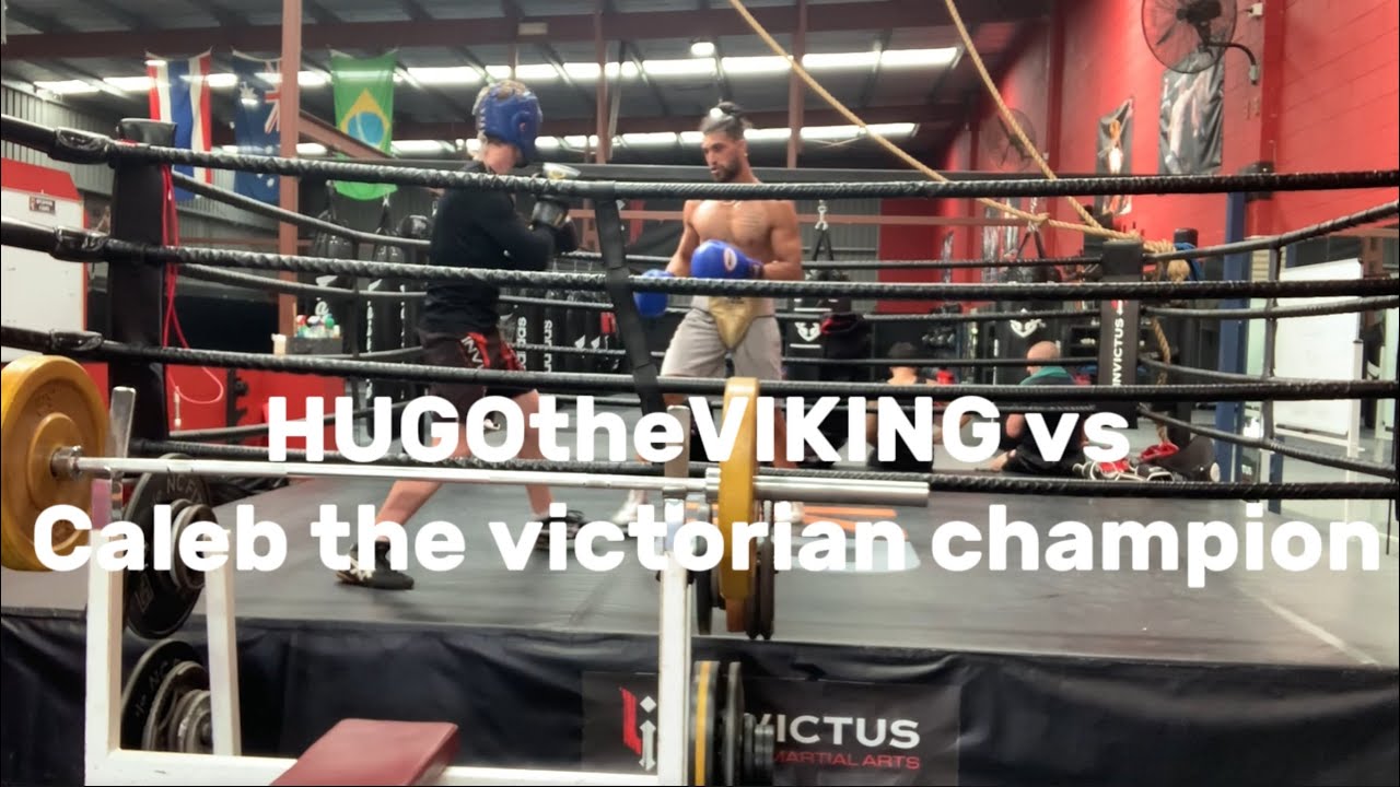 HUGOtheVIKING vs Caleb the Victorian champion, boxing - YouTube