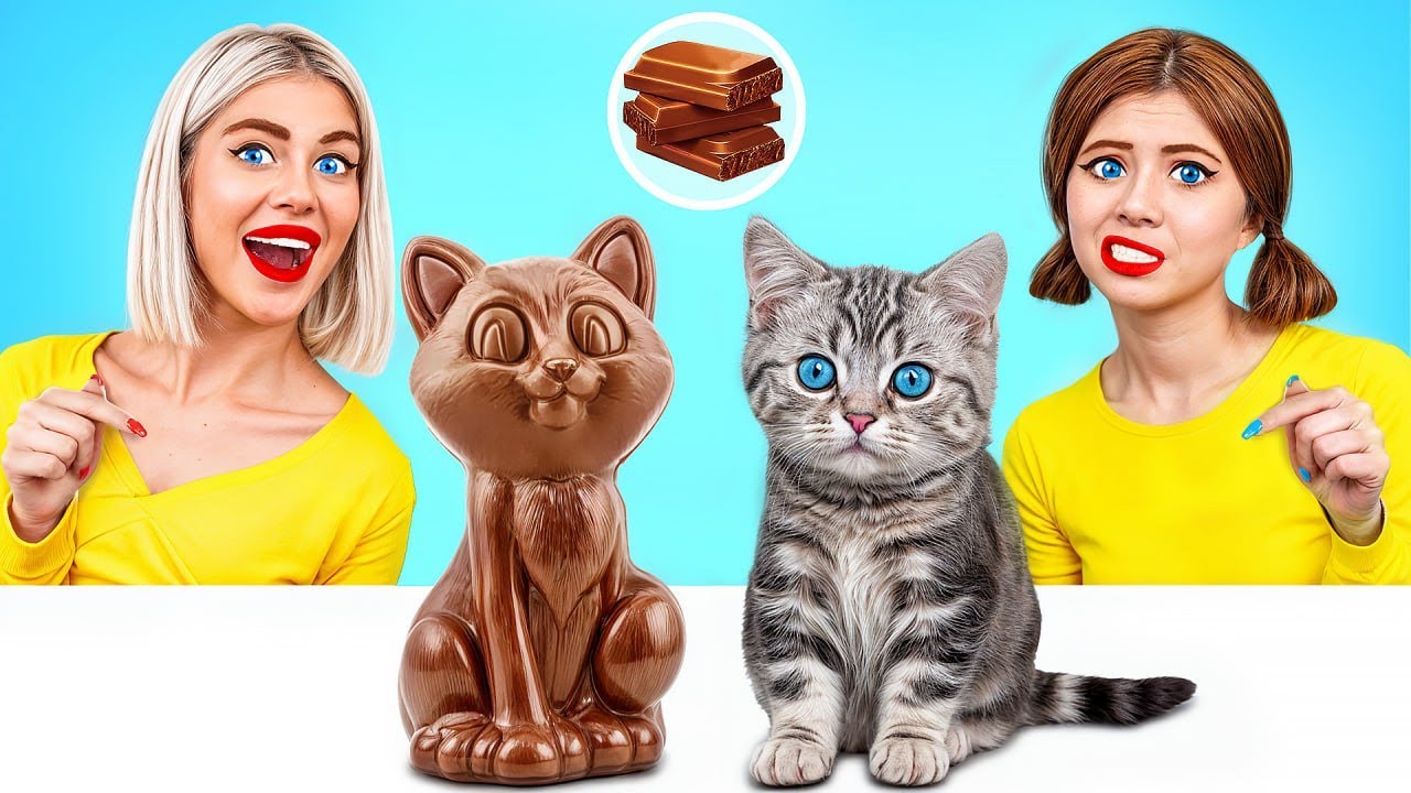 Chocolate Vs Real Food Challenge | Chocolate Food Cooking Challenge by ...