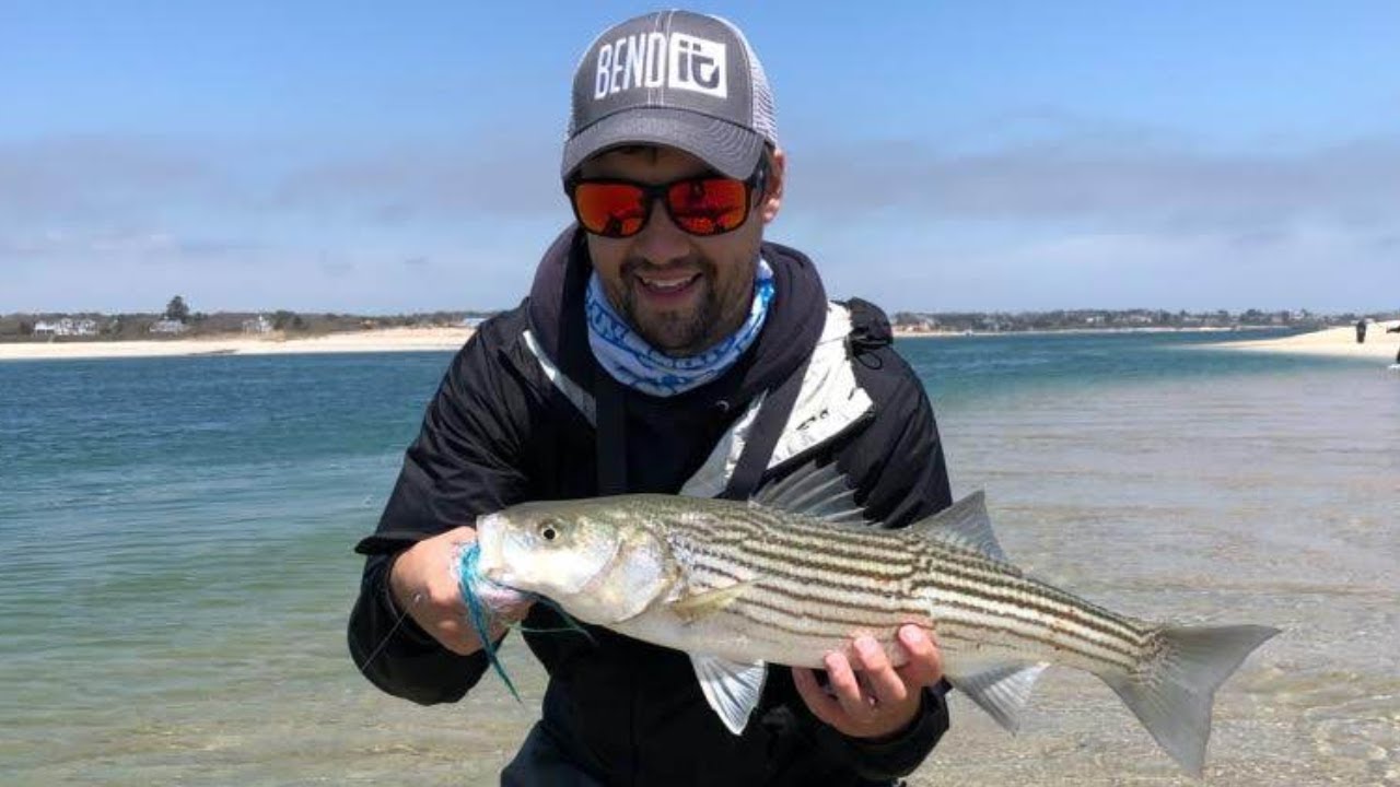 SCHOOLIE STRIPERS on the Fly - Striped Bass Migration - YouTube