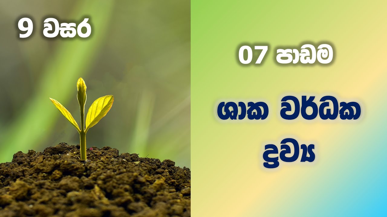 Grade 9 Science in Sinhala | Unit 7 Plant hormones | ශාක වර්ධක ද්‍රව්‍ය ...