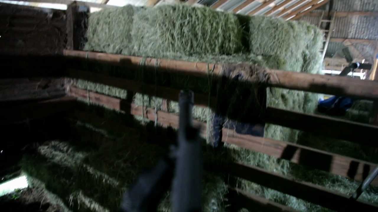 TAKE DOWN Trailer HD - YouTube