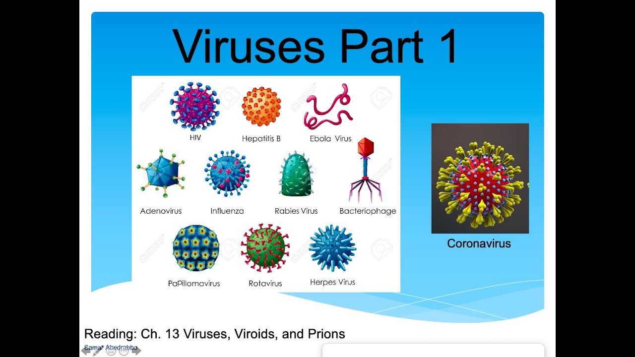 Viruses Lecture 1 - YouTube