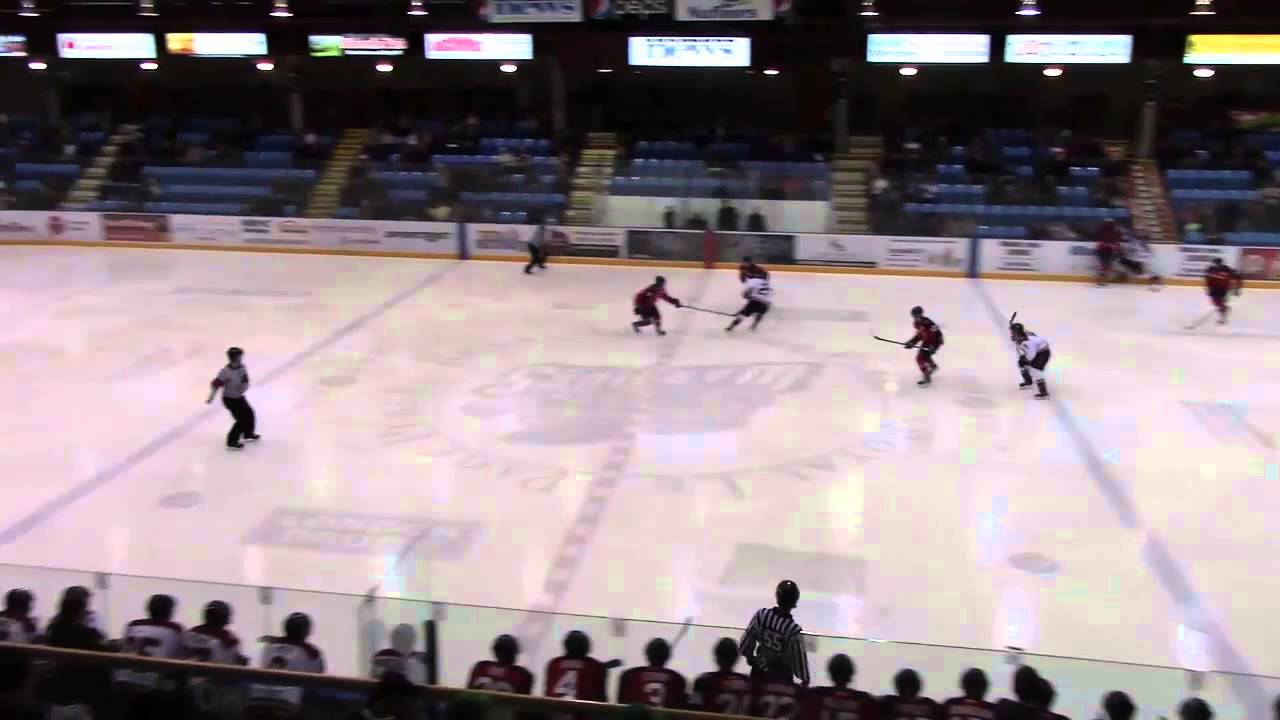 Hunter Zandee 2013-14 Highlights V3 - YouTube