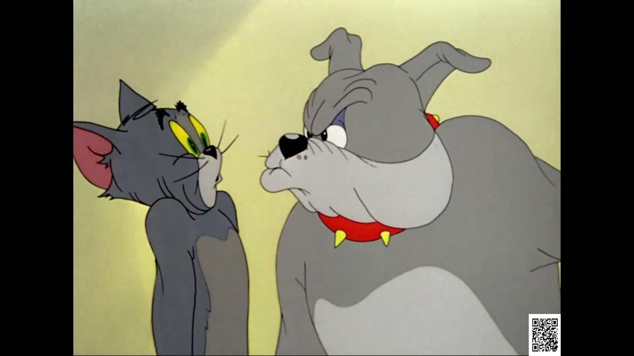 Tom and Jerry The Truce Hurts Classic Cartoon - YouTube