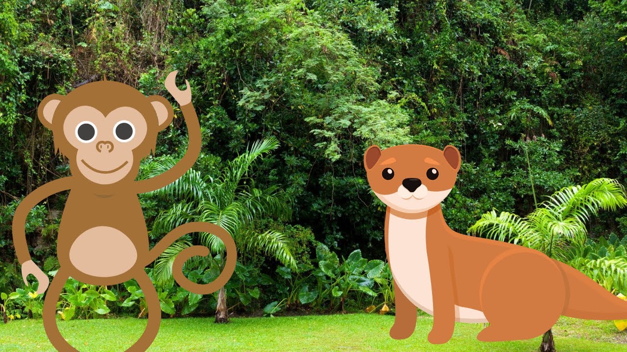 Pop Goes the Weasel | Song for Kids I Monkey Weasel Song II - YouTube