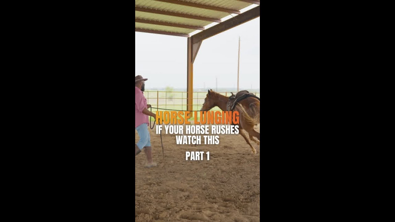 STOP Lunging your Horse like this - YouTube