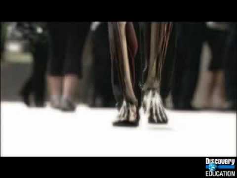 Hidden Curse: Inability to Feel Pain - YouTube