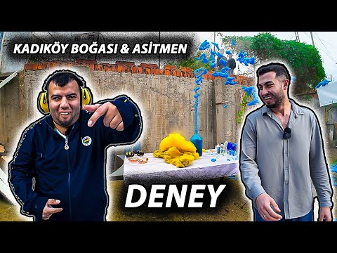 KADIKÖY BOĞASI @Asitmen İLE DENEY