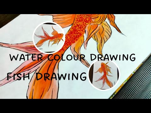 Water colour art | Fish drawing | How to colour a fish - YouTube