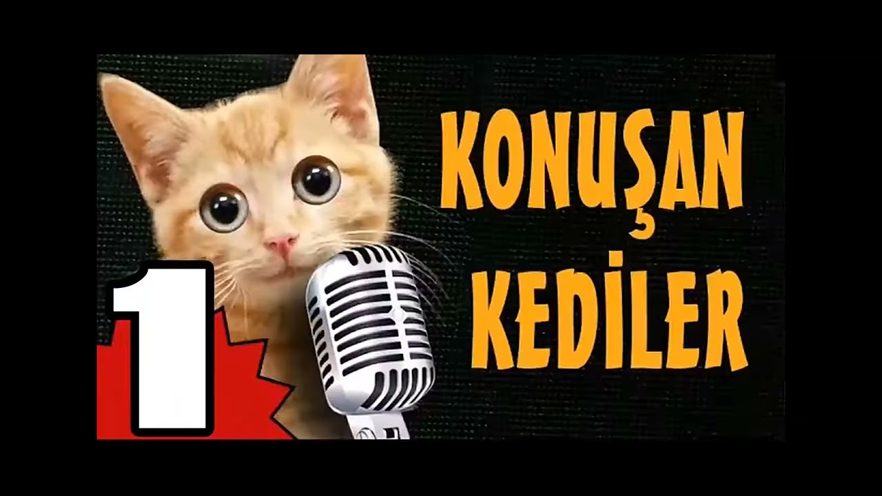 Konuşan Kediler 1 - YouTube