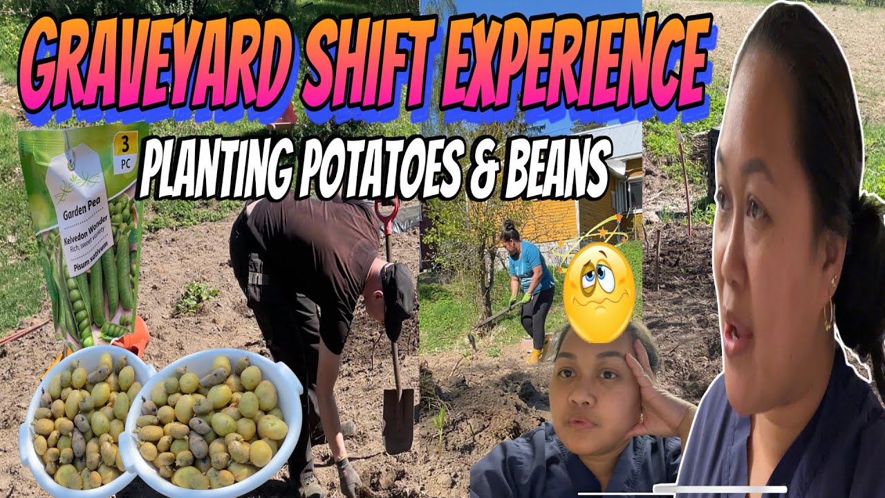 MY GRAVEYARD SHIFT EXPERIENCE+PLANTING POTATOES AND BEANS - YouTube