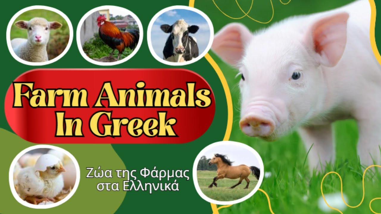 Learn Animals in Greek | Farm Animals | Vocabulary for Beginners & Kids ...