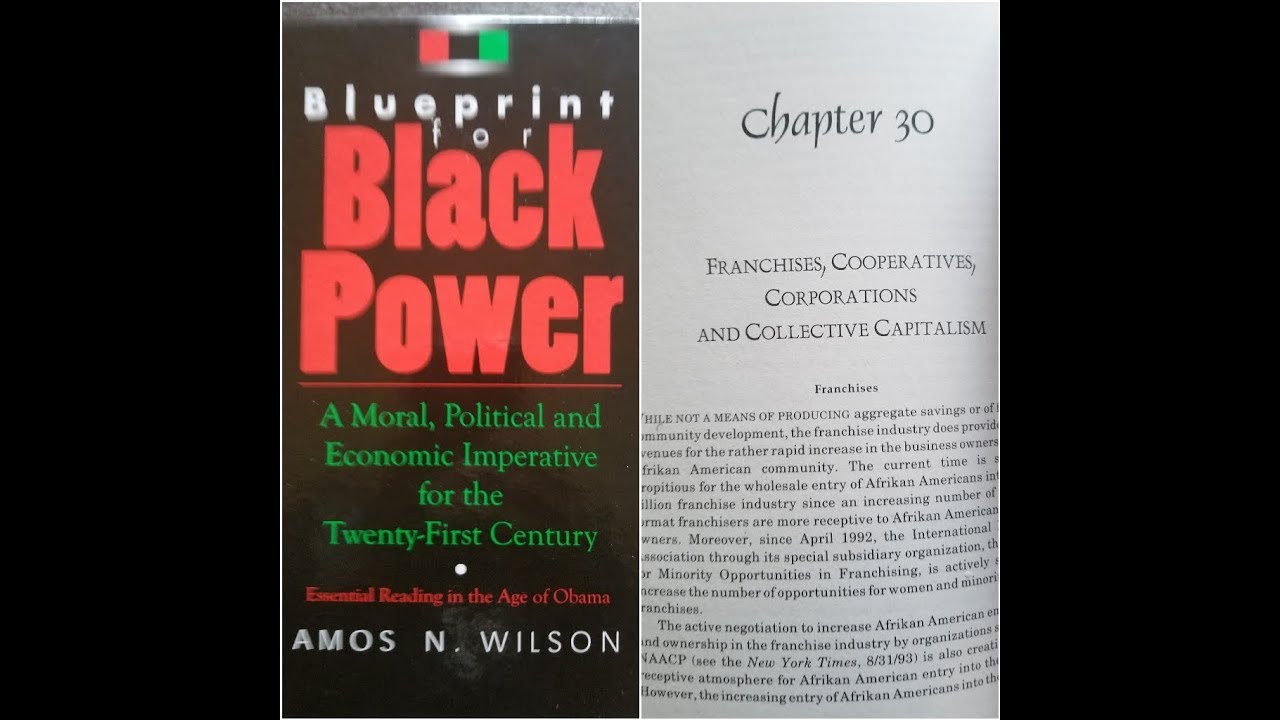 Dr. Amos Wilson, Blueprint For Black Power Chapter 30 - RAM Bookclub ...