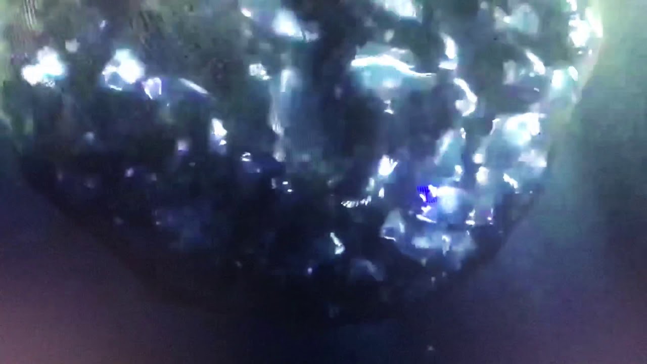 Finding Nemo Dory trapped in net - YouTube