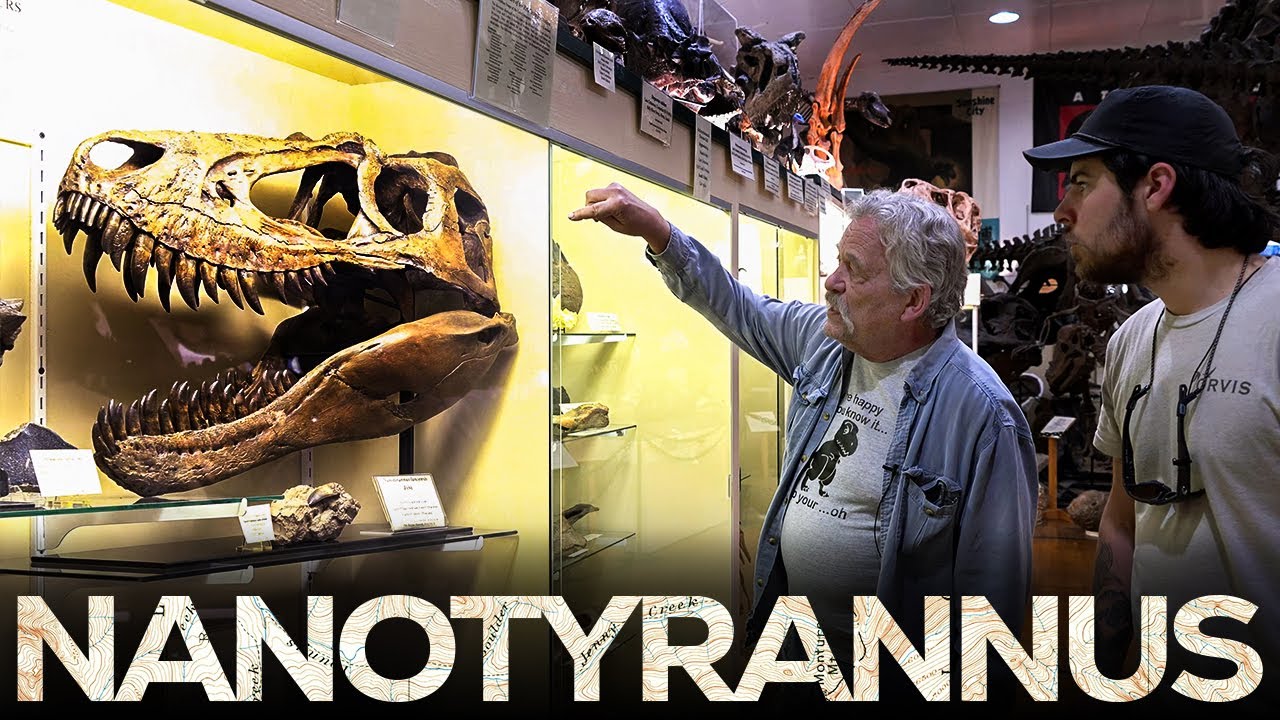 The Difference Between Nanotyrannus and T. Rex | Peter Larson of BHI ...