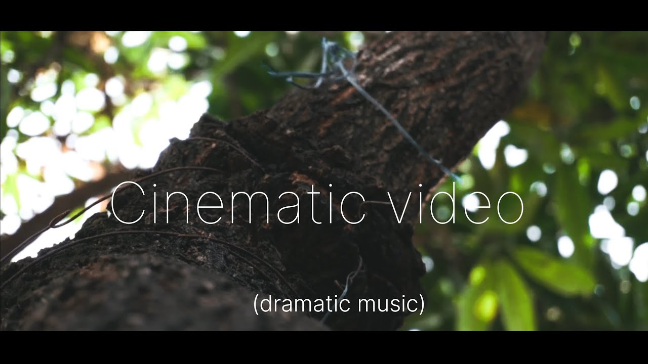 Cinematic nature video...♻️🕊️| videography| video editing | Cinematic ...