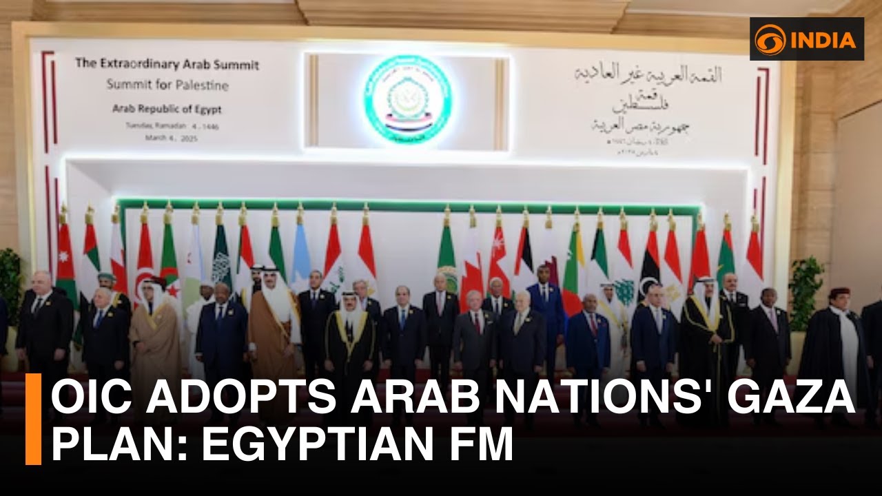 OIC adopts Arab nations' Gaza plan: Egyptian FM | DD India Live - YouTube