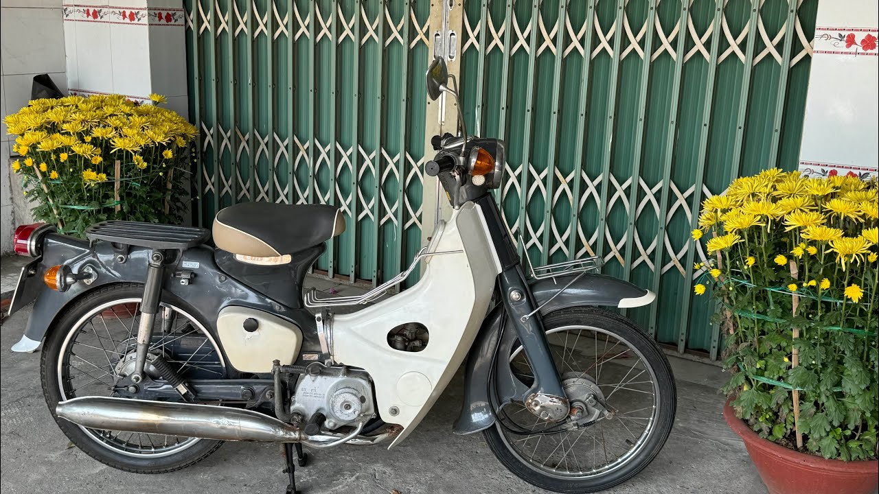 Honda cub 78 len full do zin cub 78/70,piscu - YouTube