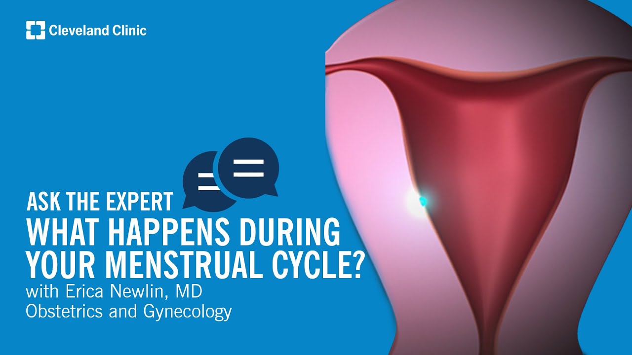 What Happens During Your Menstrual Cycle? | Ask Cleveland Clinic’s ...
