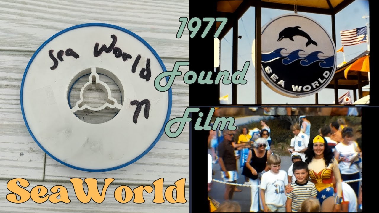 SeaWorld Found Film 1977 - YouTube