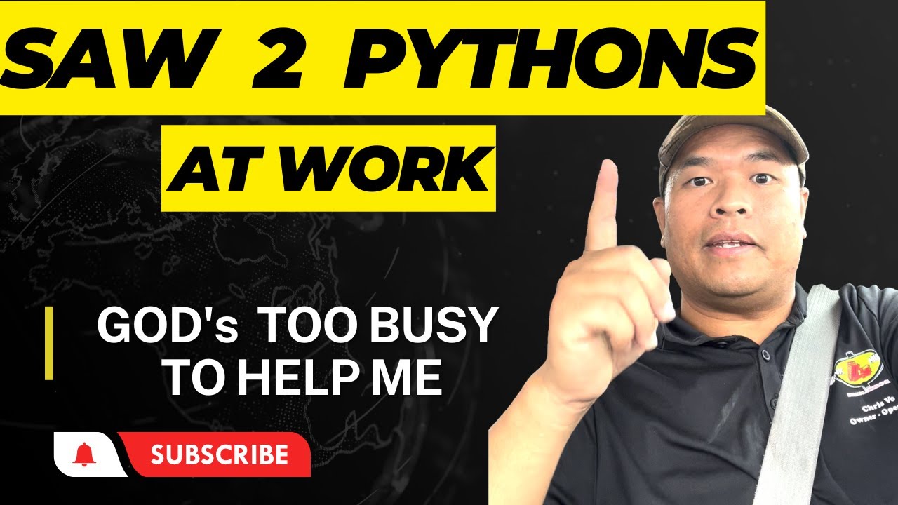 Ep. 65 Saw TWO PYTHONS while doing junk removal in Garden Grove. - YouTube