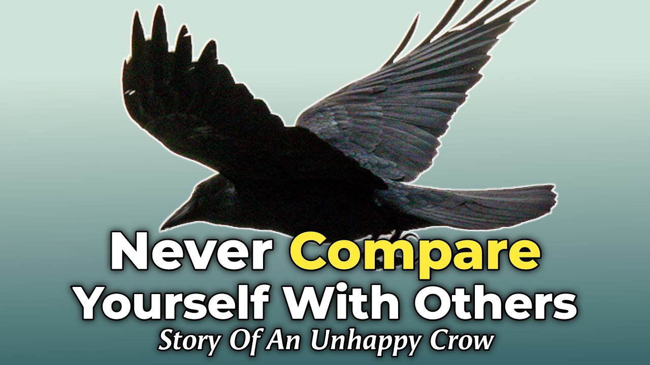 Never Compare Yourself With Others | Story Of An Unhappy Crow ...