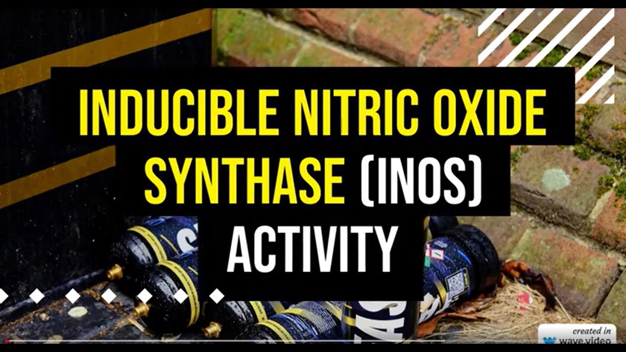 Inducible Nitric Oxide Synthase (iNOS) Activity - YouTube