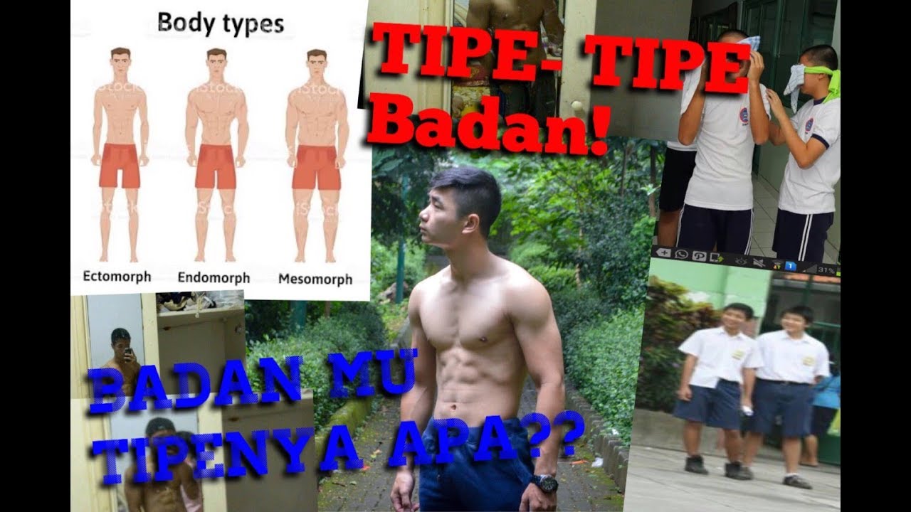 Penjelasan mengenai tipe tipe badan. - YouTube