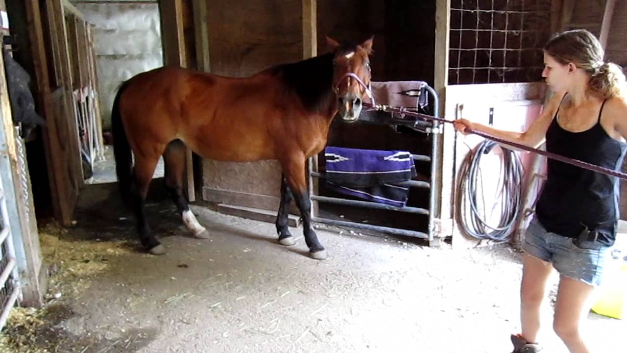 Bad Farrier Trim on my friend's horse - YouTube