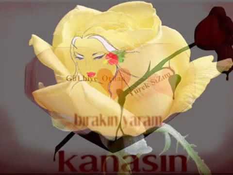 Seda Sayan Çık Hayatımdan⊰❀⊱GüLbiye♥Orhan⊰❀⊱