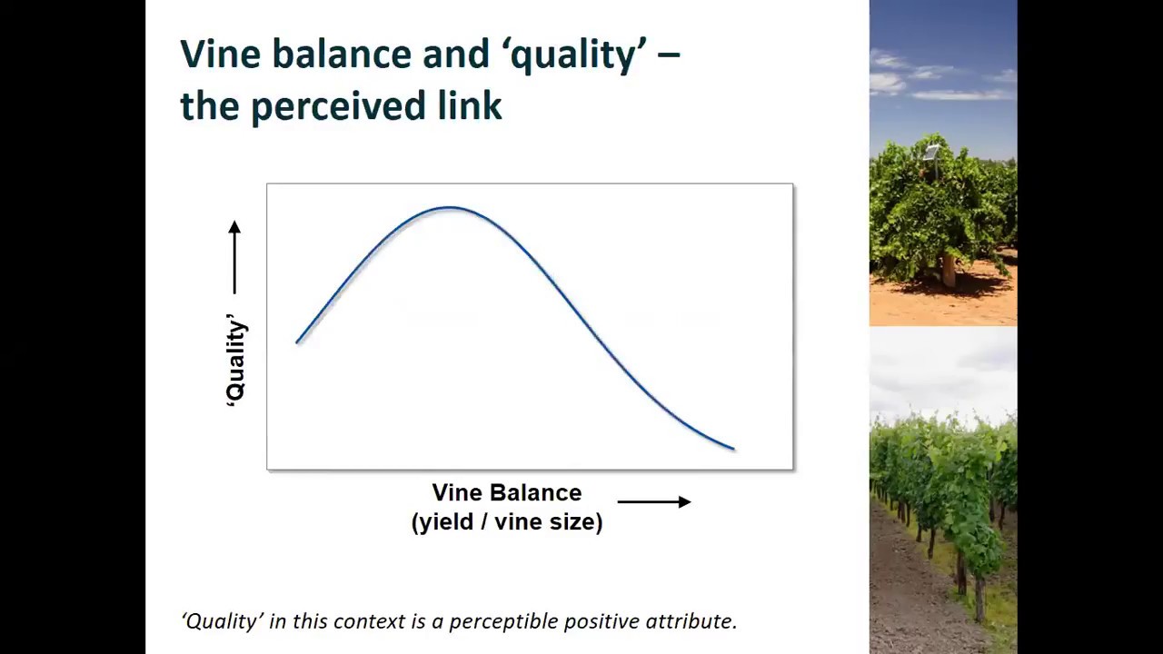 Targeted manipulation of vine balance: does vine balance directly ...