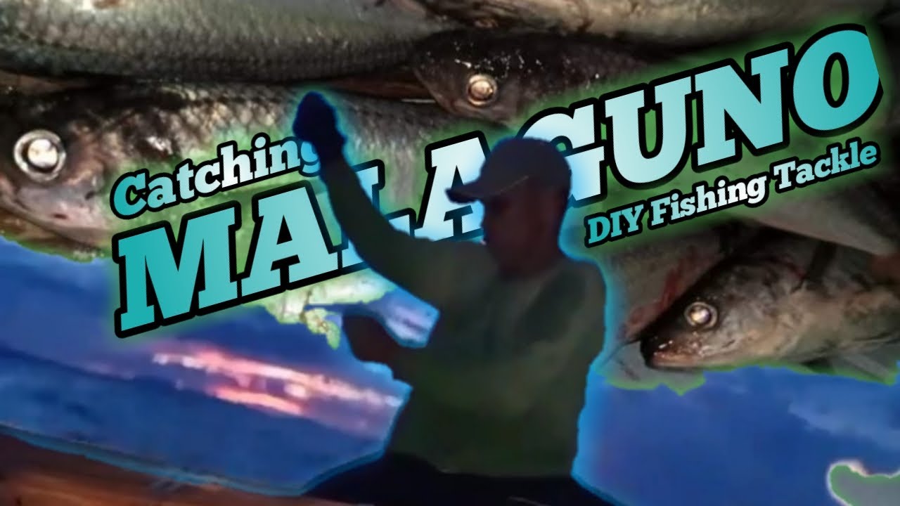 Catching Malaguno fish using DIY Fishing Tackle and Traditional Fishing ...