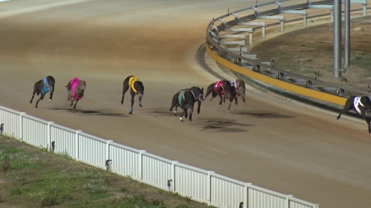 Murray-Bridge-07062020-Race-7 - YouTube