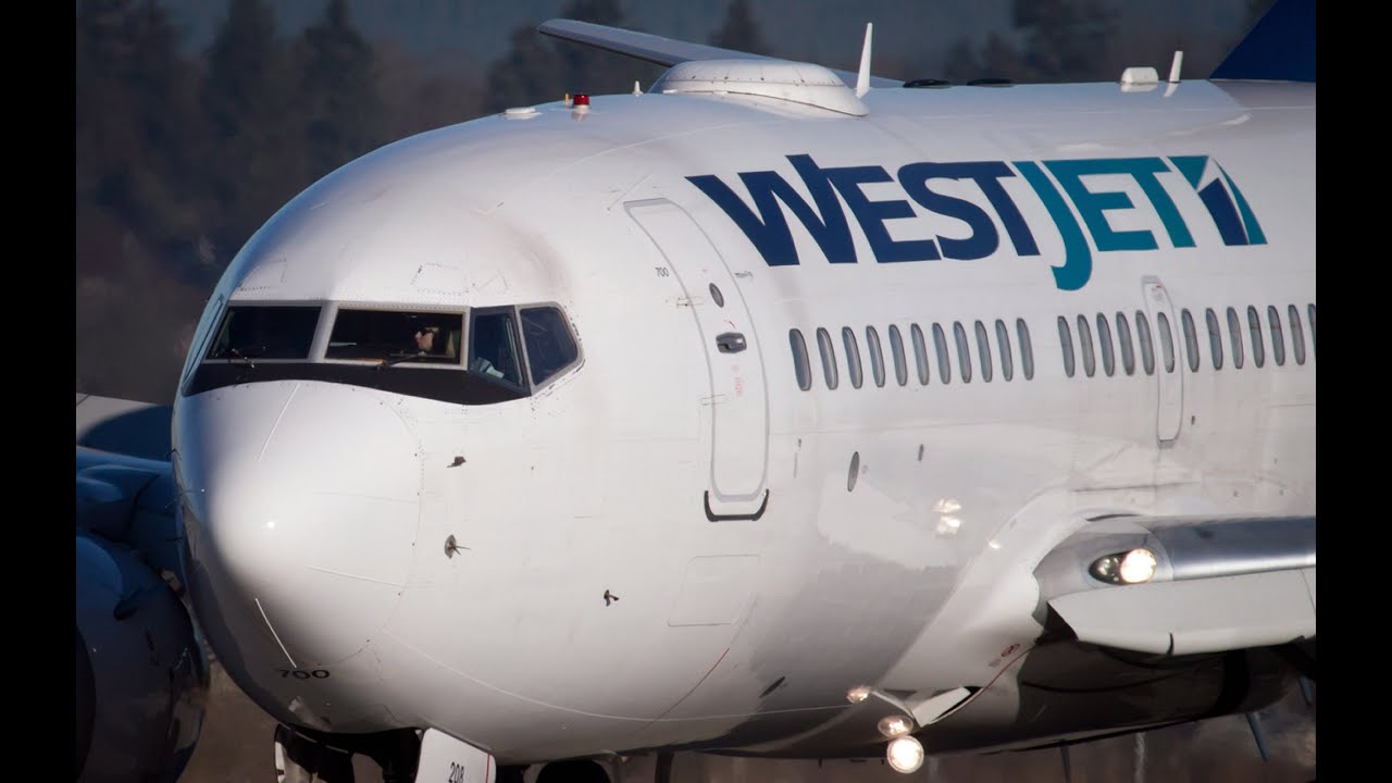 What we know about the 240 WestJet flight cancellations - YouTube