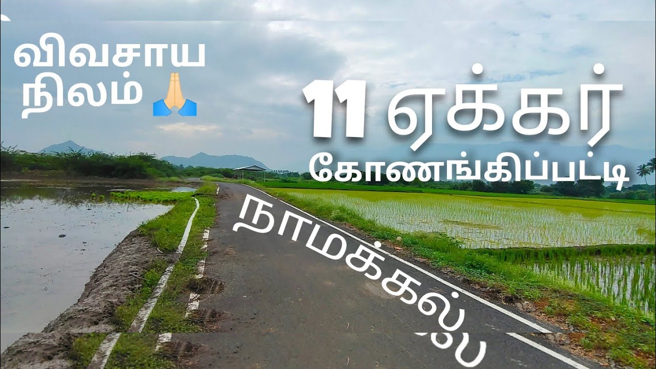 11 acres farm land for sale | Namakkal | 30 லட்சம் /acre Negotiable ...