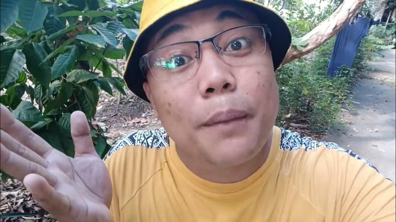 KWENTO MO SA PAGONG MEME - YouTube