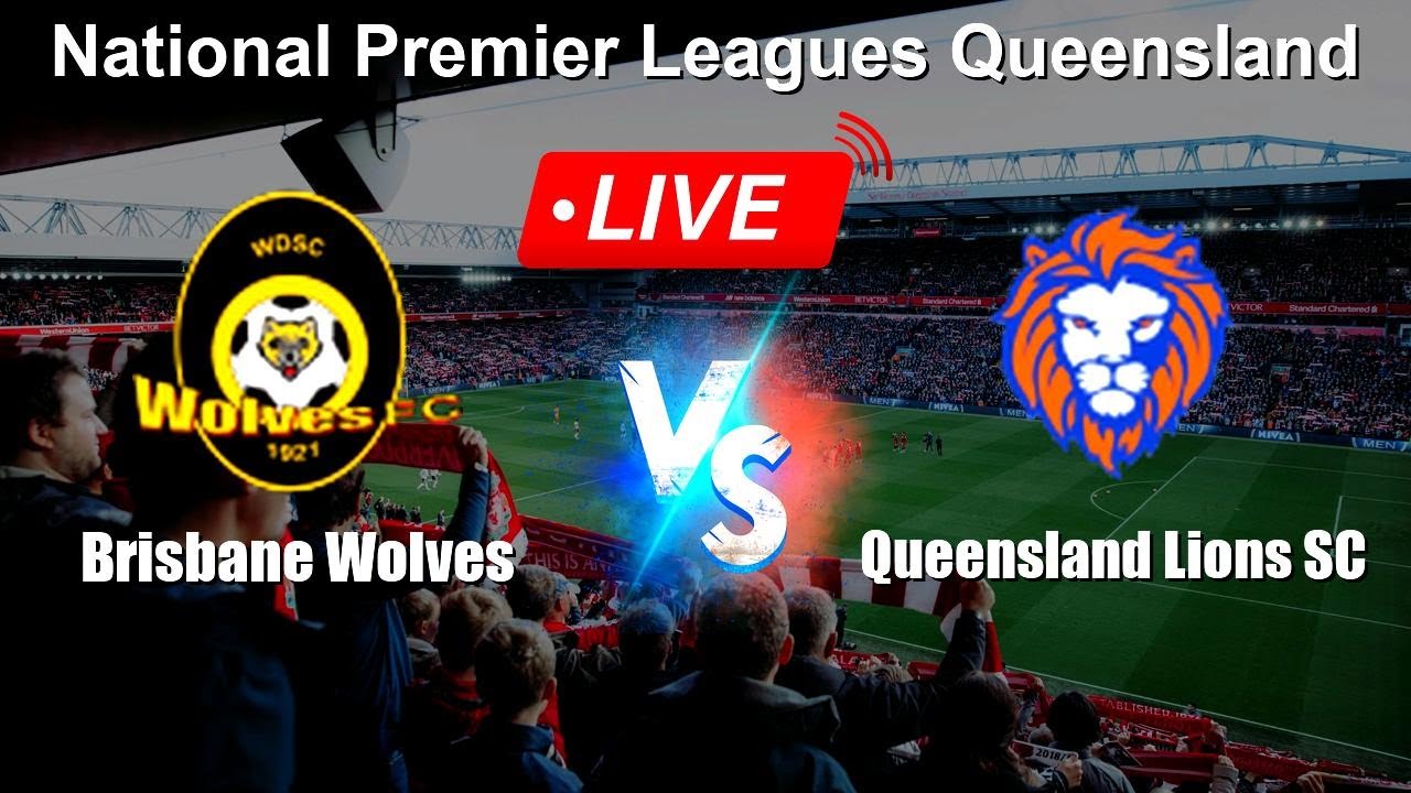 🔴 LIVE: Brisbane Wolves vs Queensland Lions SC - Live Score Today - YouTube