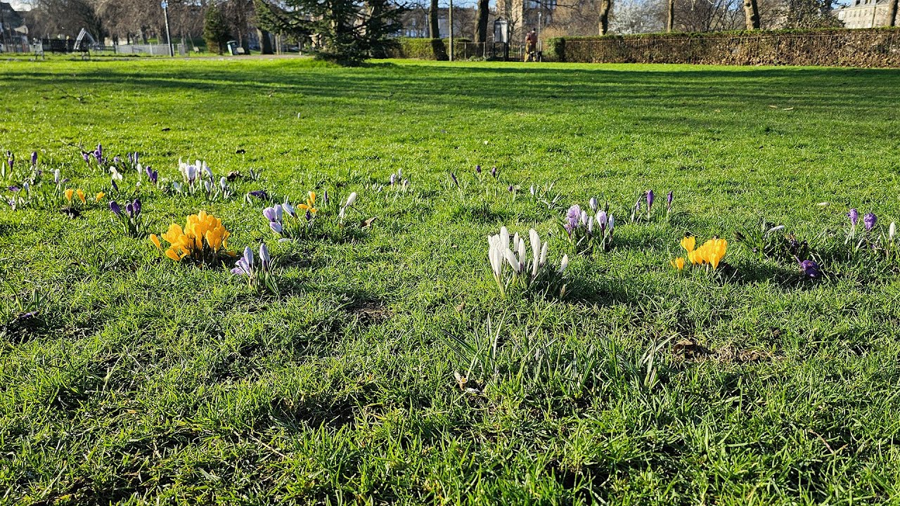 Spring Has Begun - YouTube