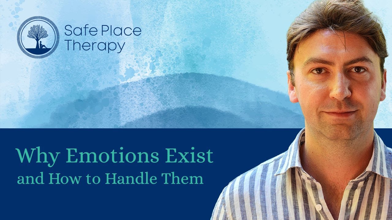 Why Emotions Exist and How to Handle Them - YouTube