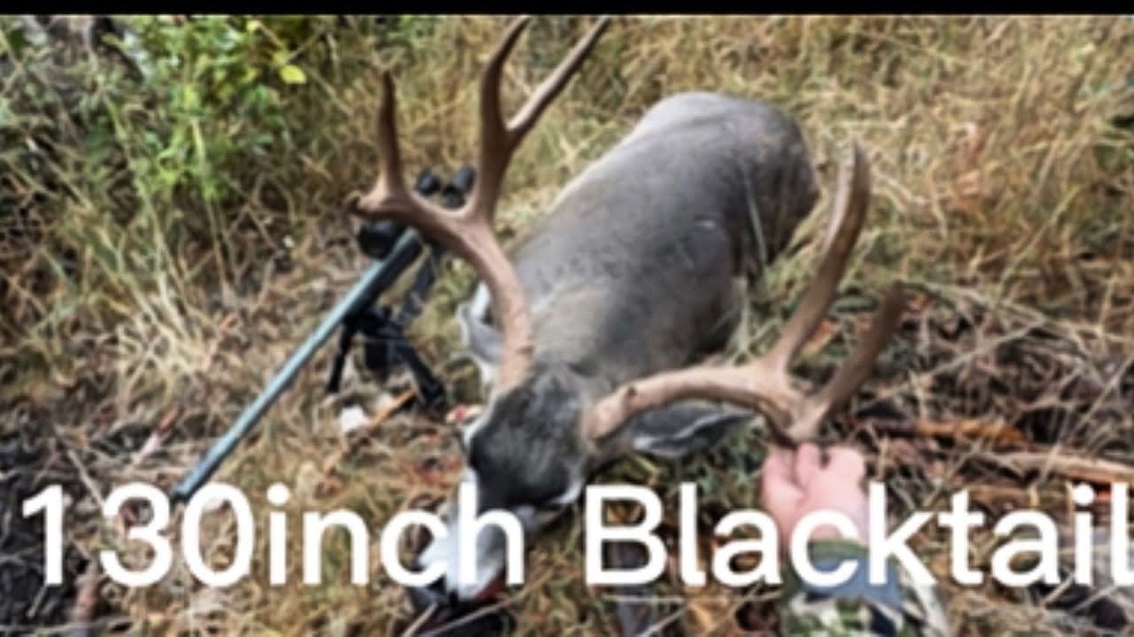 Biggest buck yet | Big blacktail down #blacktail #california #hunting # ...